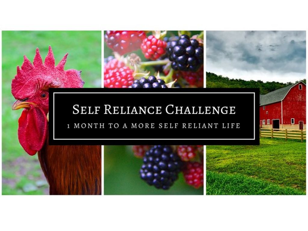 Self Reliance Challenge For Month Of May - MyGreenTerra