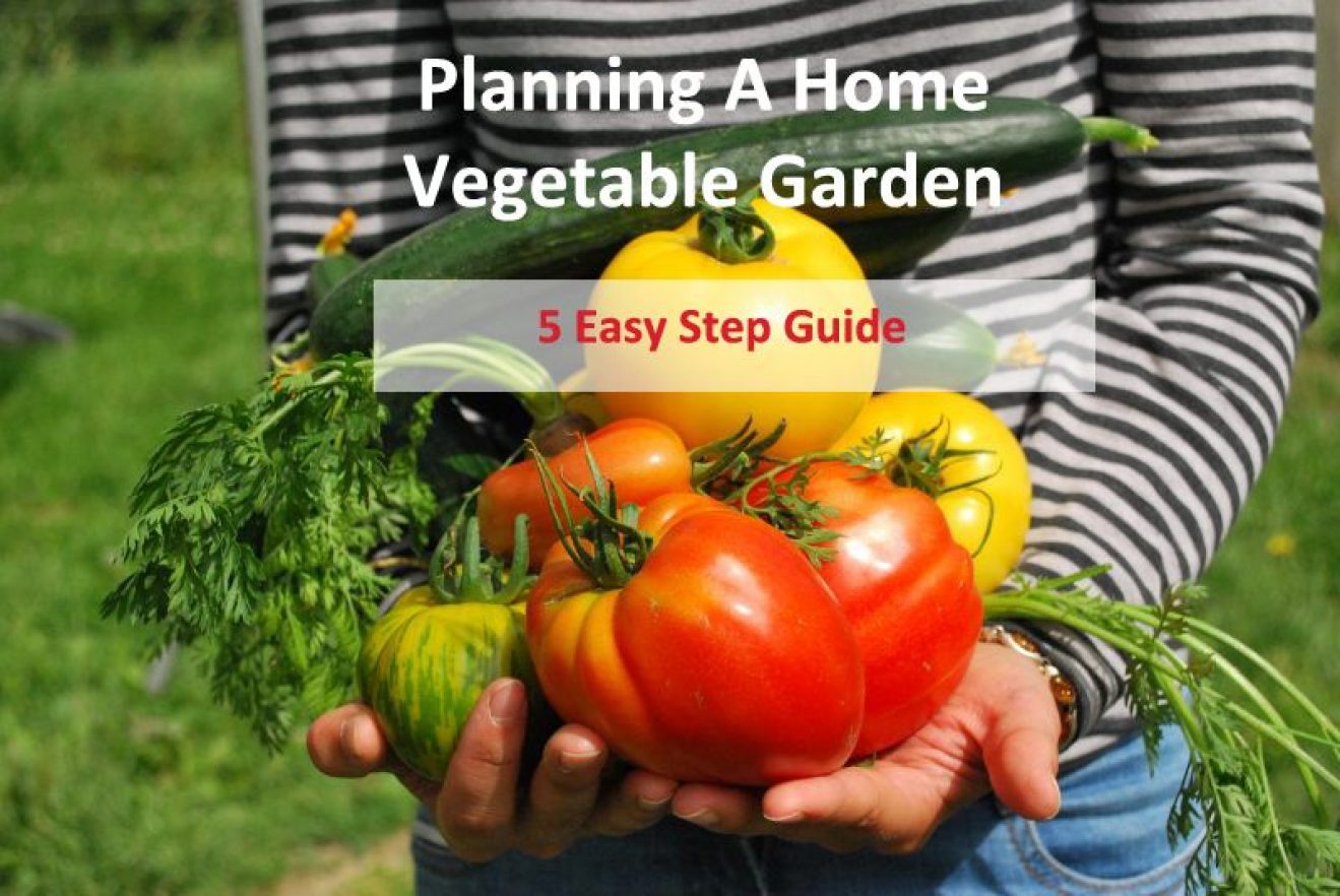Planning A Home Vegetable Garden - MyGreenTerra - Grow Your Own